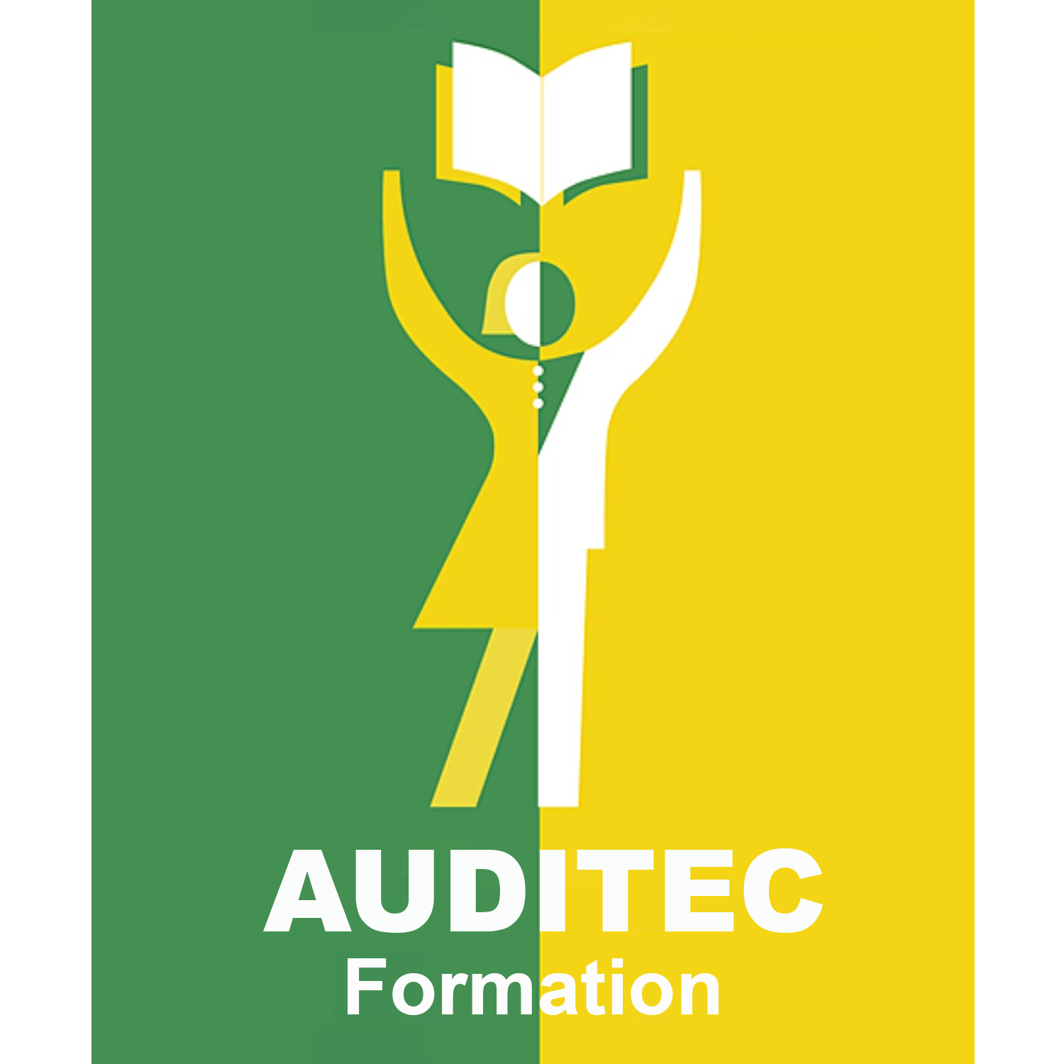 IRF AUDITEC IRF AUDITEC